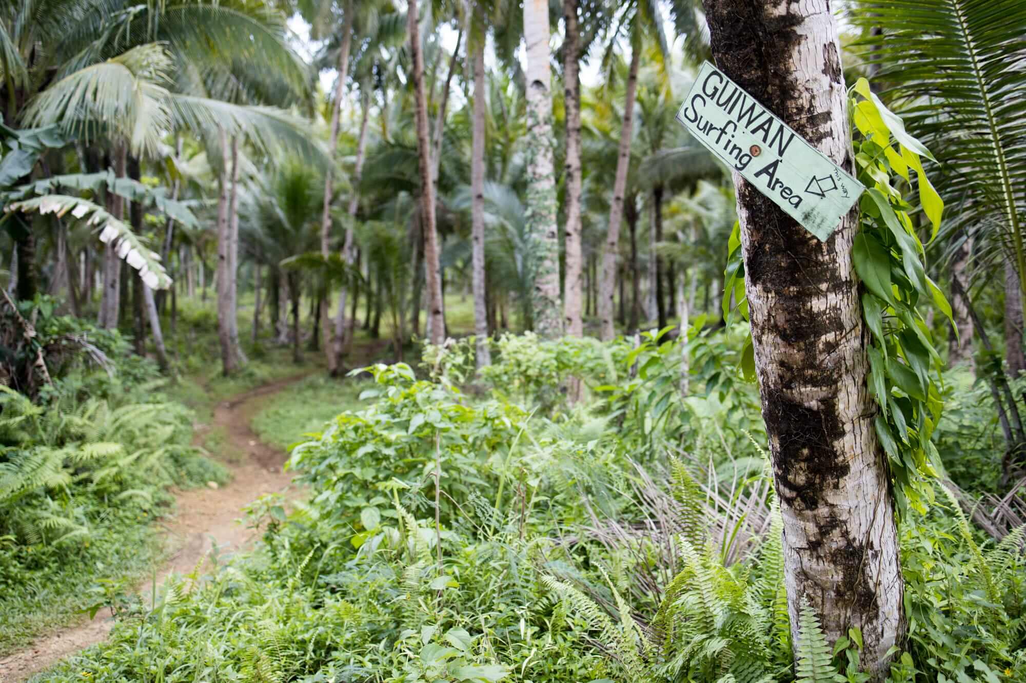 Surfing Capital of the Philippines, Siargao - Best Surf Spots | SURF ...
